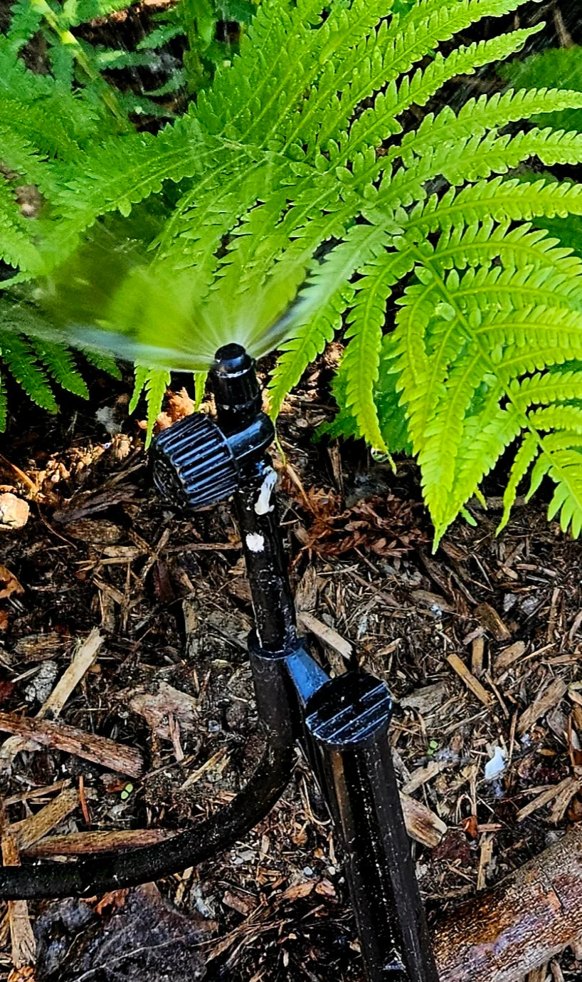 Save water grow better- a beginners guide - Twilight Kaleidoscope